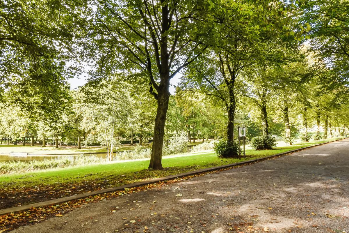 What is an Eco Park?